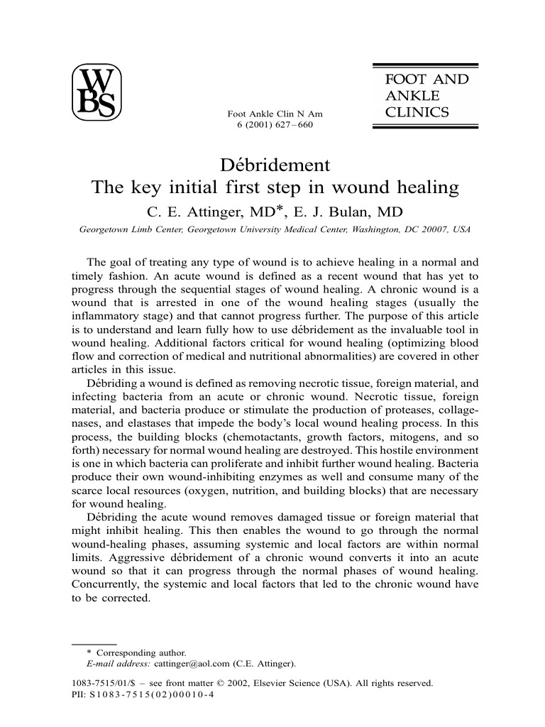 Attinger 2001 | PDF