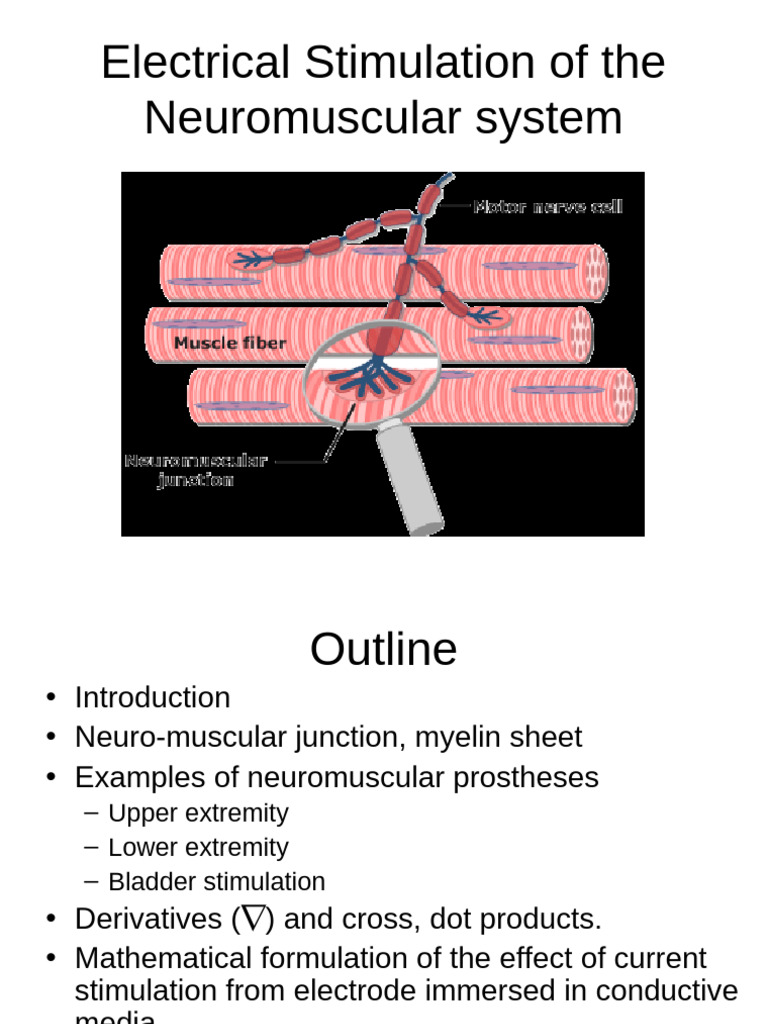 Functional Neuro Simulation | PDF