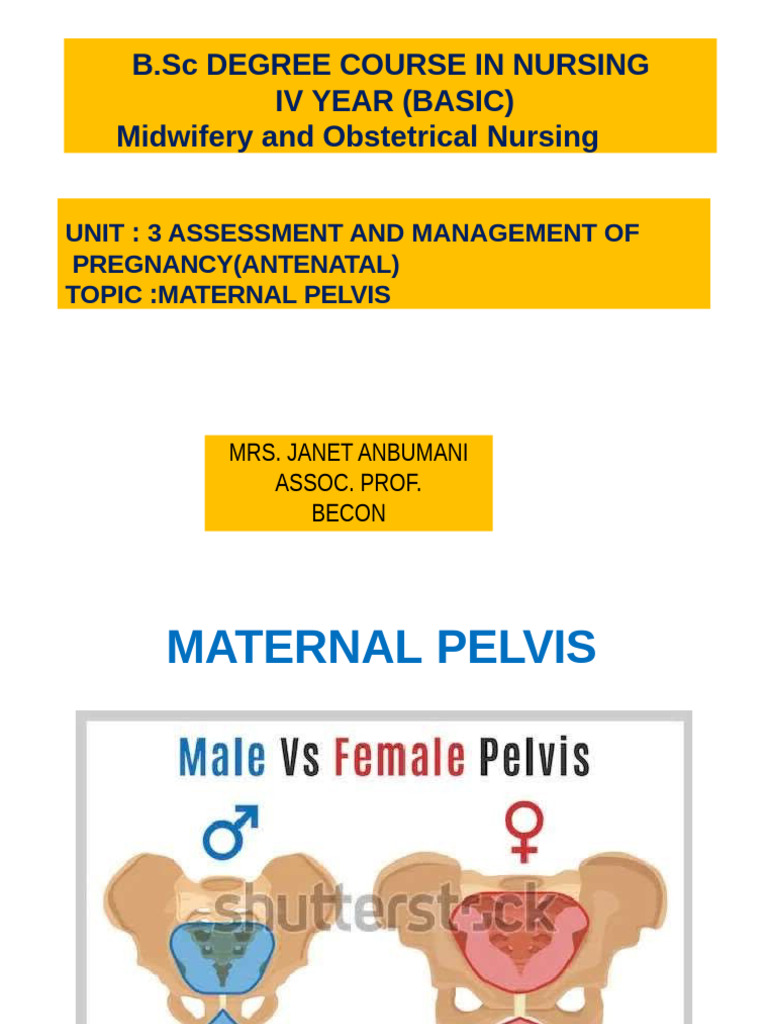Maternal pelvis ppt | PDF