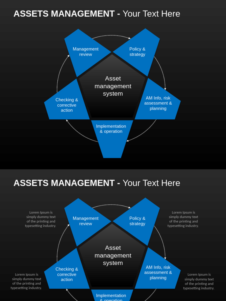Asset Management Strategies | PDF | Asset Management | Audit