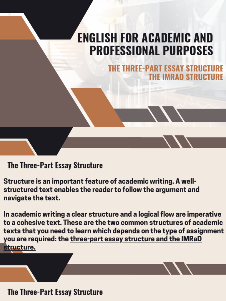 Essay Structure | PDF