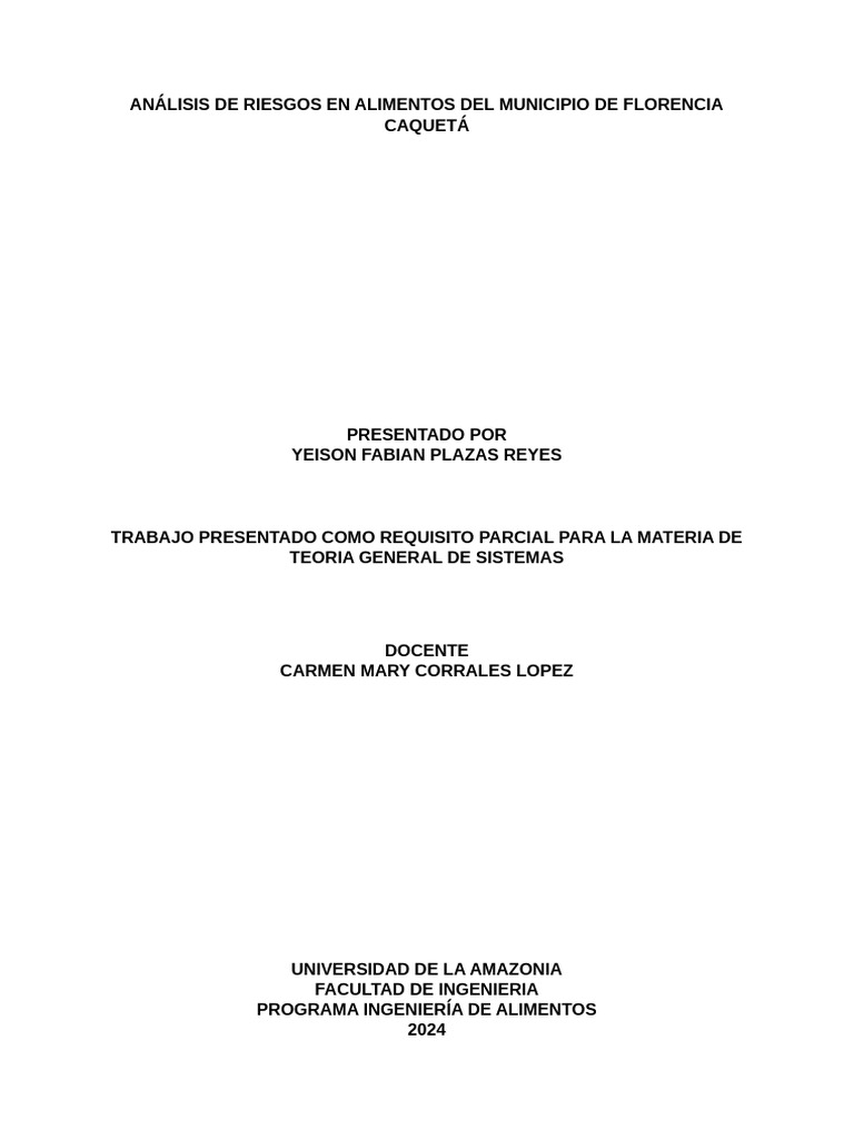 Proyecto Final Tgs | PDF