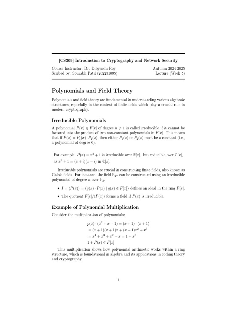 Polynomials and Field Theory | PDF