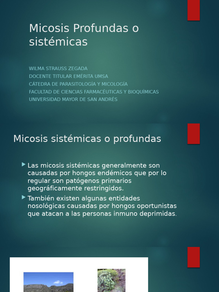 Micosis Sistémicas | PDF