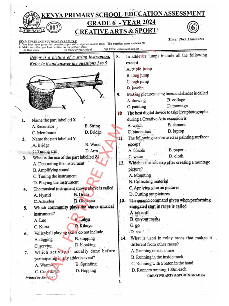G6 Step Flyer 007 Creative Arts | PDF