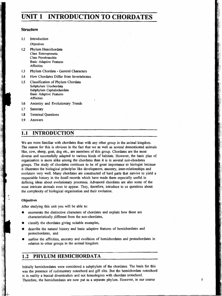 Zoology Chordates | PDF