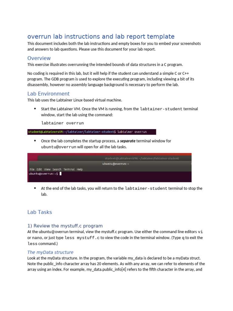 Overrun - Lab - Instructions - Report Done | PDF
