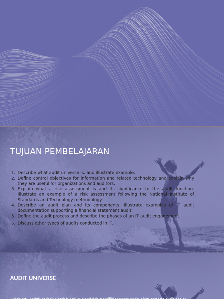 The It Audit Process | PDF