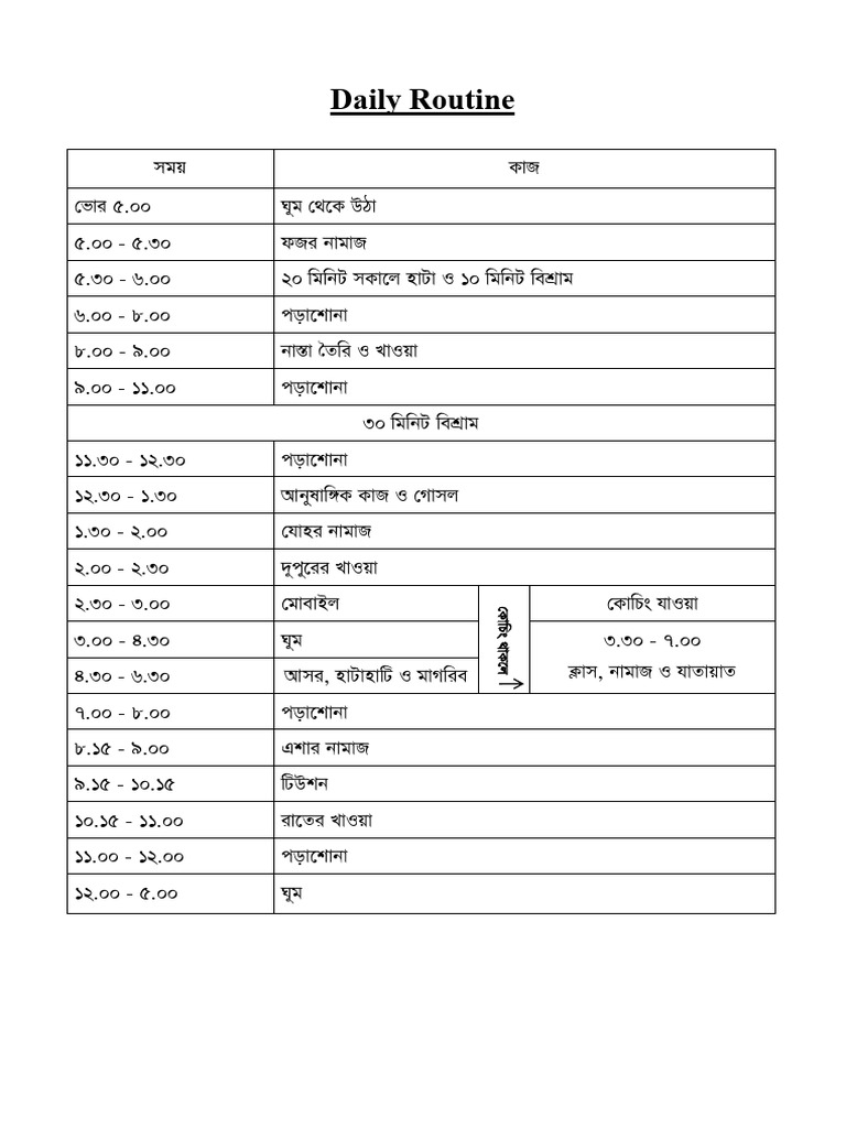 Daily Routine | PDF