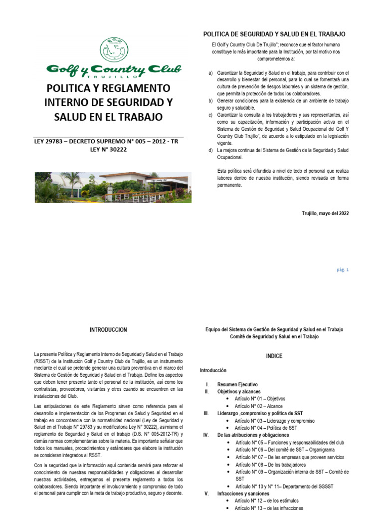 Reglamento de SST 2022 | PDF