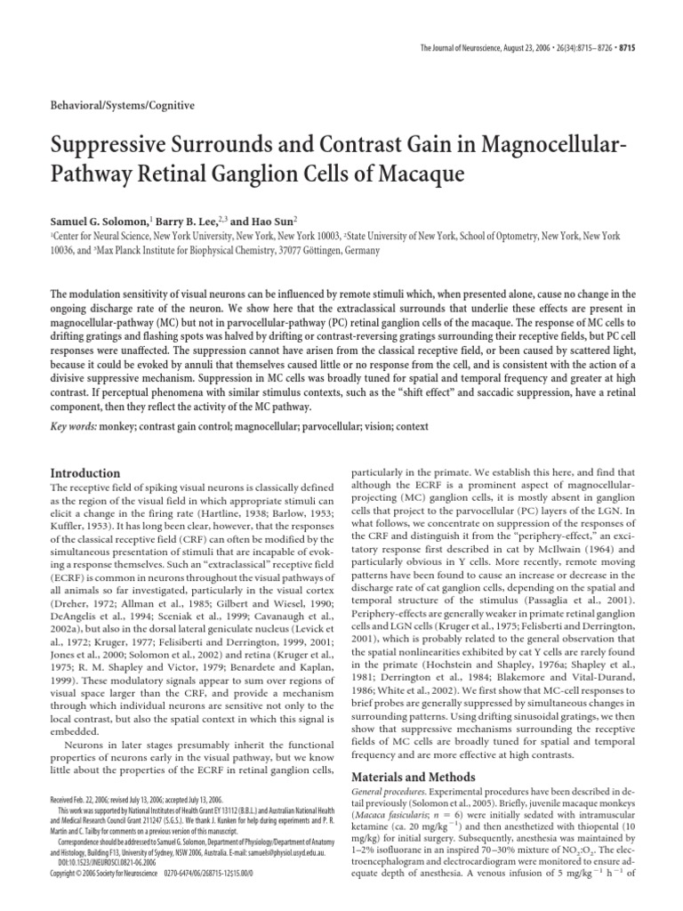 Solomon 2006 | PDF | Contrast (Vision) | Visual System