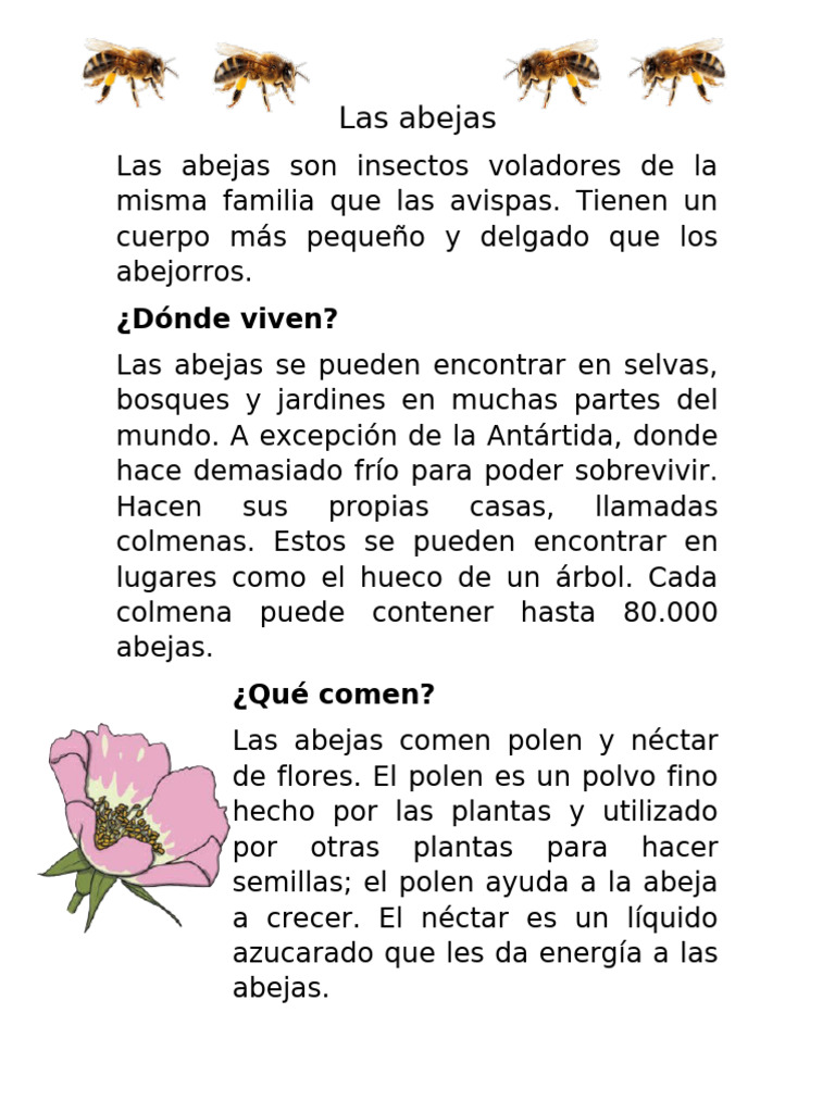 Las Abejas | PDF | Ciencia y matemáticas | Libros para adolescentes
