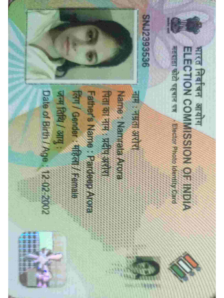 Voter ID | PDF