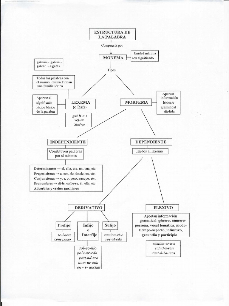 Esquemas. Lexemas y Morfemas. Formación de Palabras | PDF