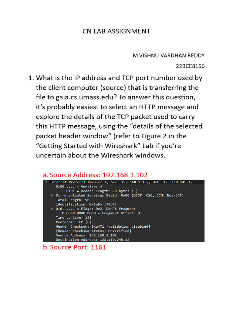 Cn Lab Assignment Pdf 