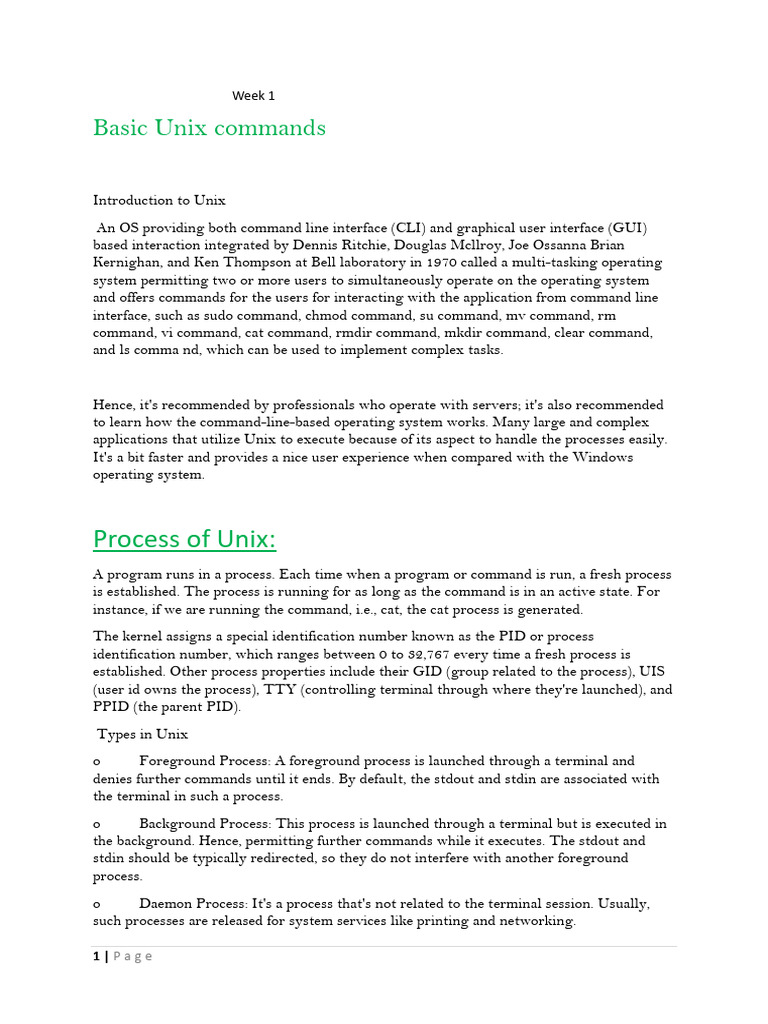 Week 1 It Workshop | PDF