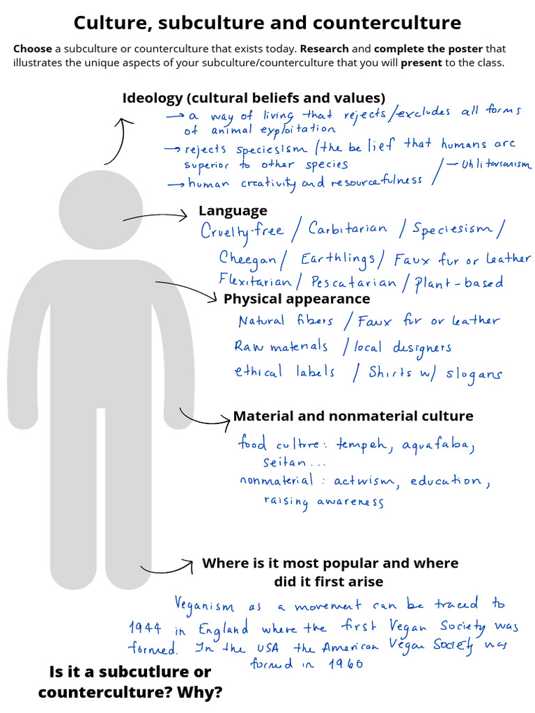 Culture, Subculture and Counterculture | PDF