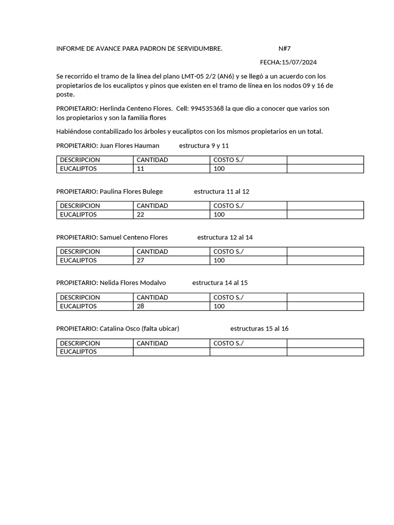 7.-Informe de Avance para Padron de SR Herlinda Centeno Flores | PDF