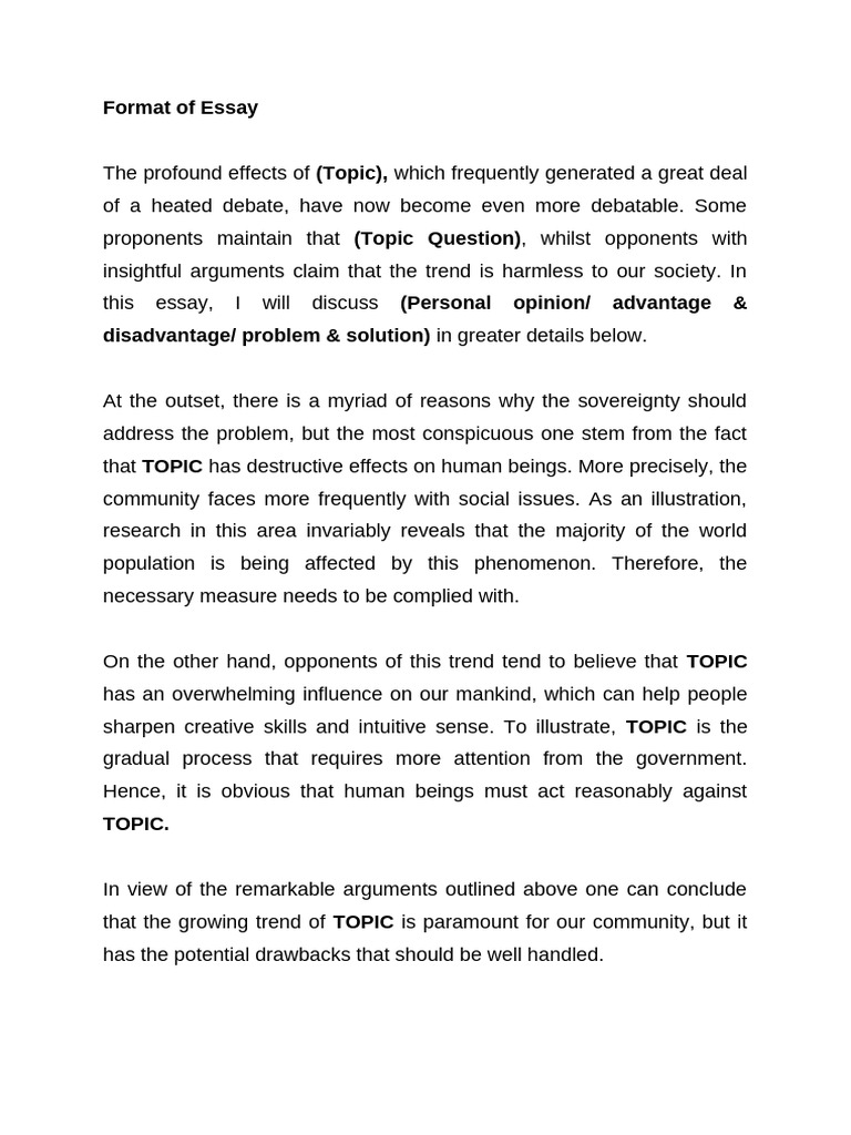 PTE Essay Format | PDF