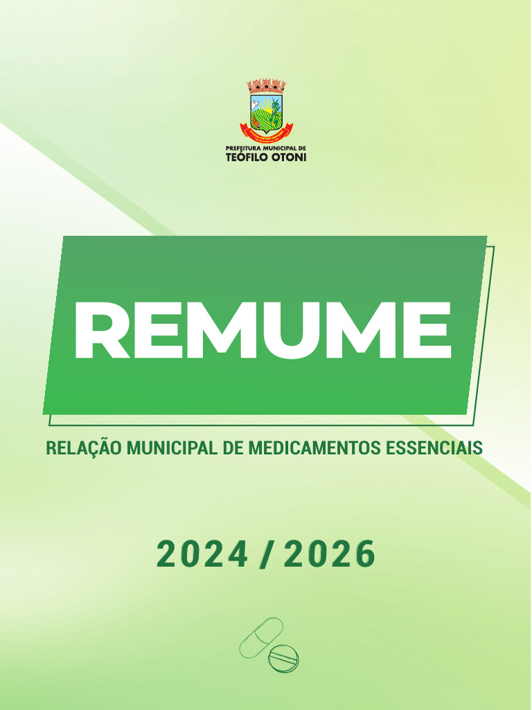 Remume 2024 | PDF