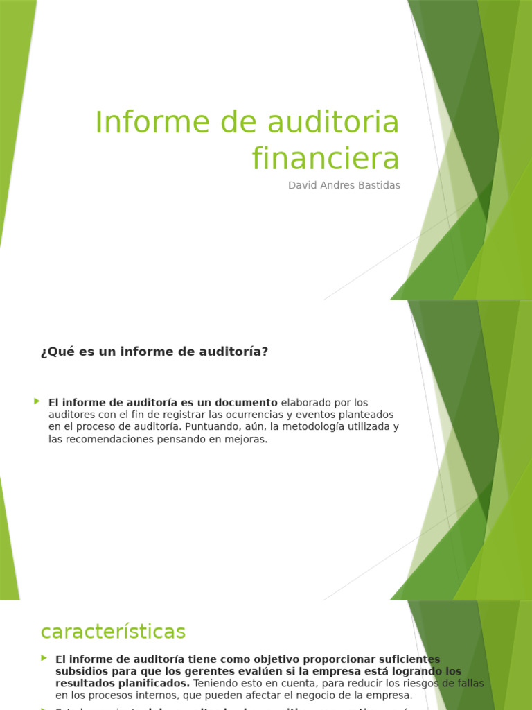 Informe de auditoria financiera | PDF