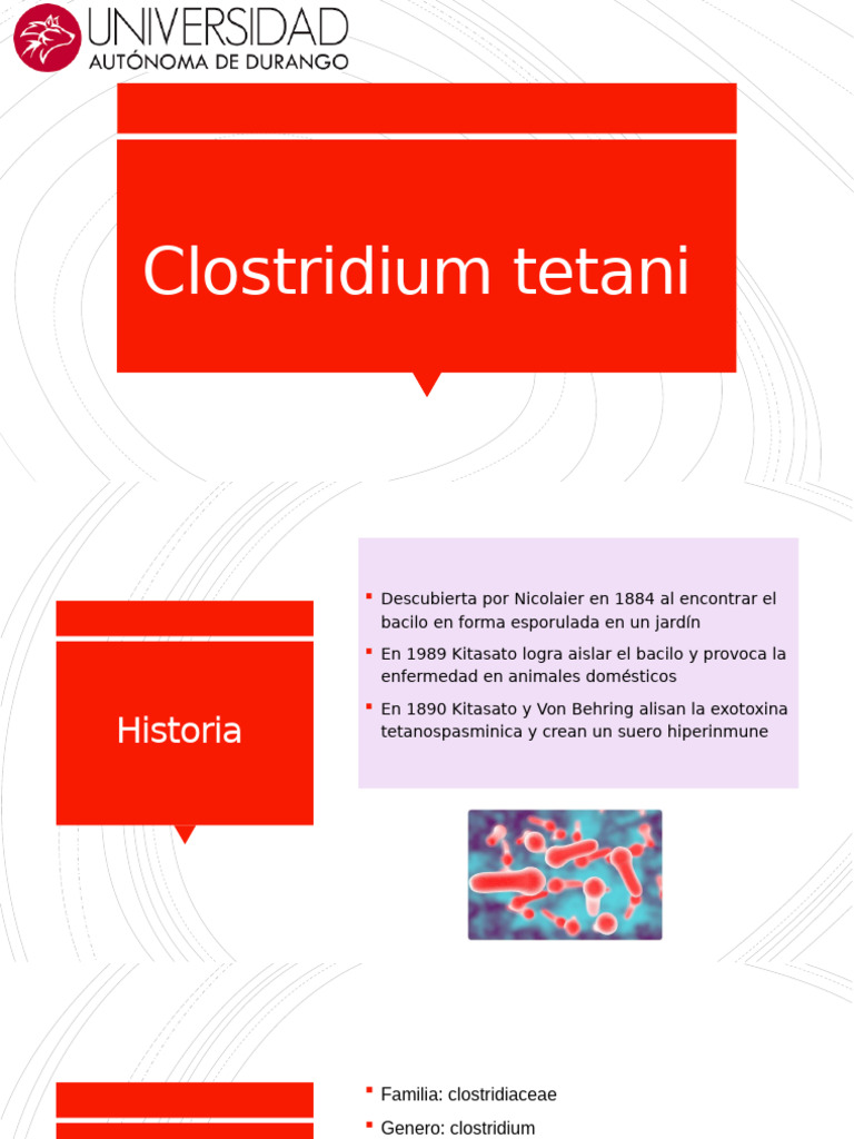 Clostridium tetani | PDF