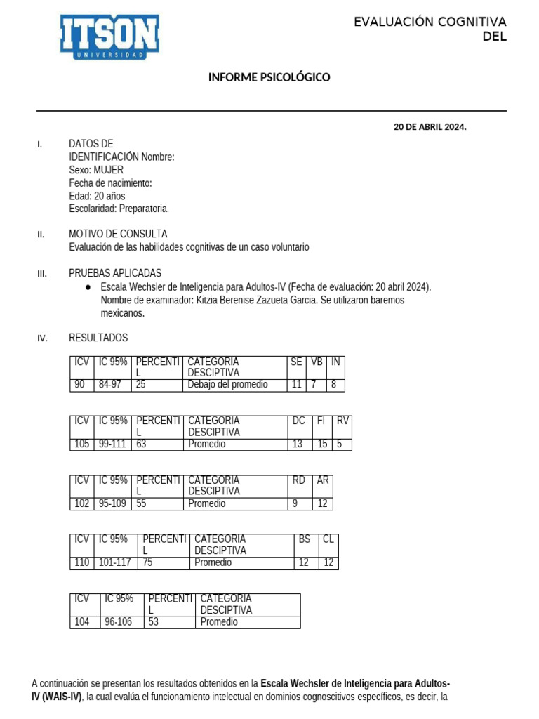 Informe Wais KBZG | PDF