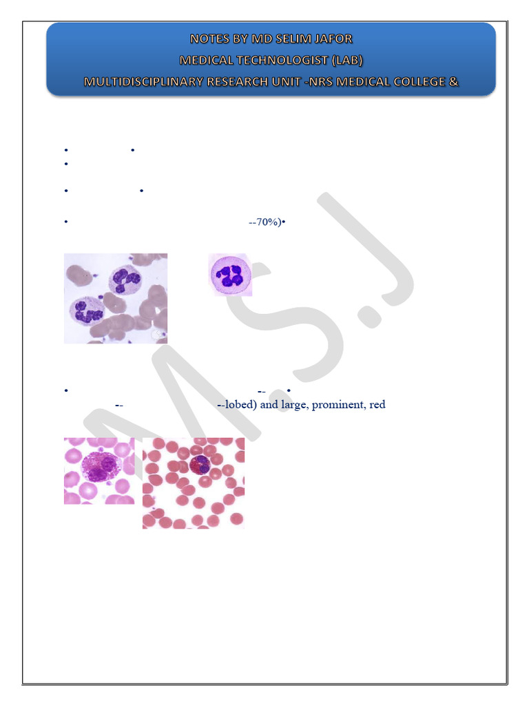 Wbcs Classification Pdf Pdf