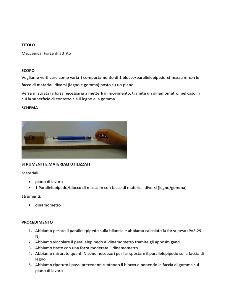 Relazione Fisica Forza Attrito | PDF