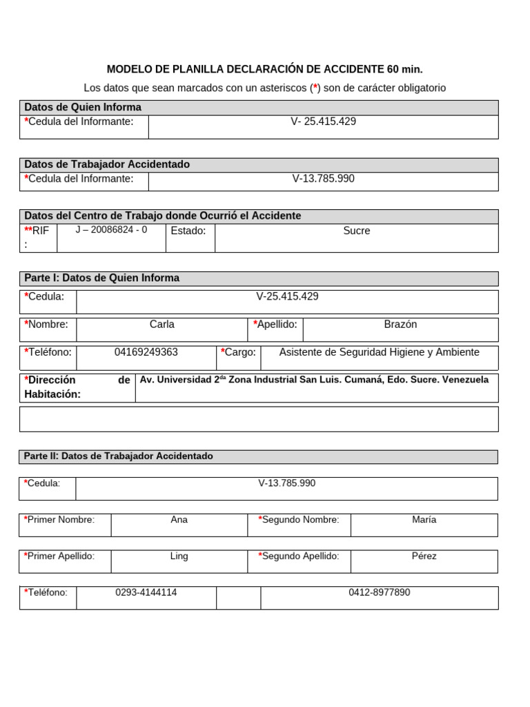 MODELO DE PLANILLA DECLARACIÓN DE ACCIDENTE 60 Min .Corregido | PDF