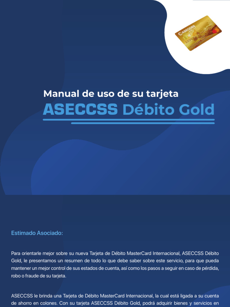 Manual-de-Uso-TDG | PDF