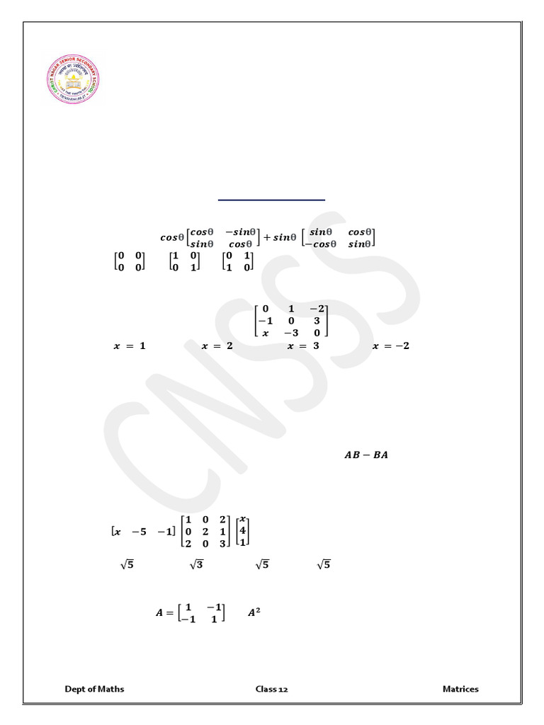 Assignment Matrices Class 12 CNSSS Maths | PDF