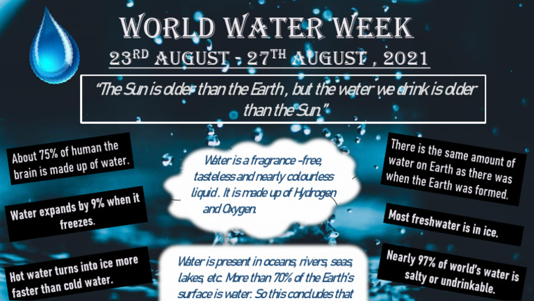 Water Week | PDF