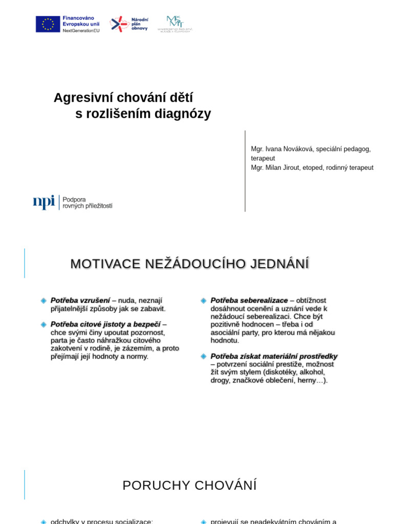 Webinar NPI Novakova Jirout Finall korGK | PDF