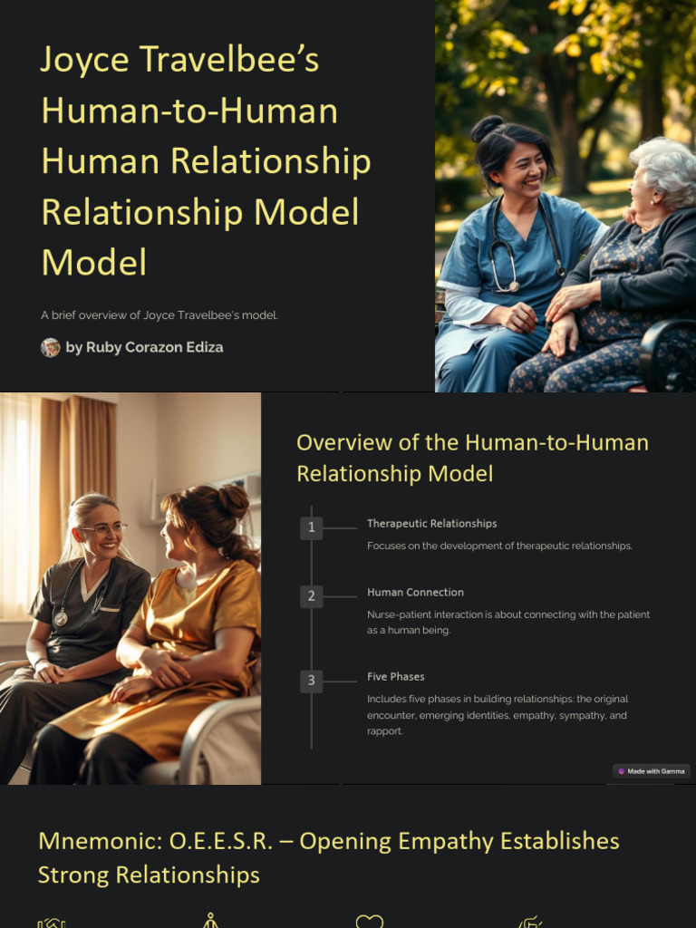 Travelbees Human To Human Relationship Model - Student - S | PDF