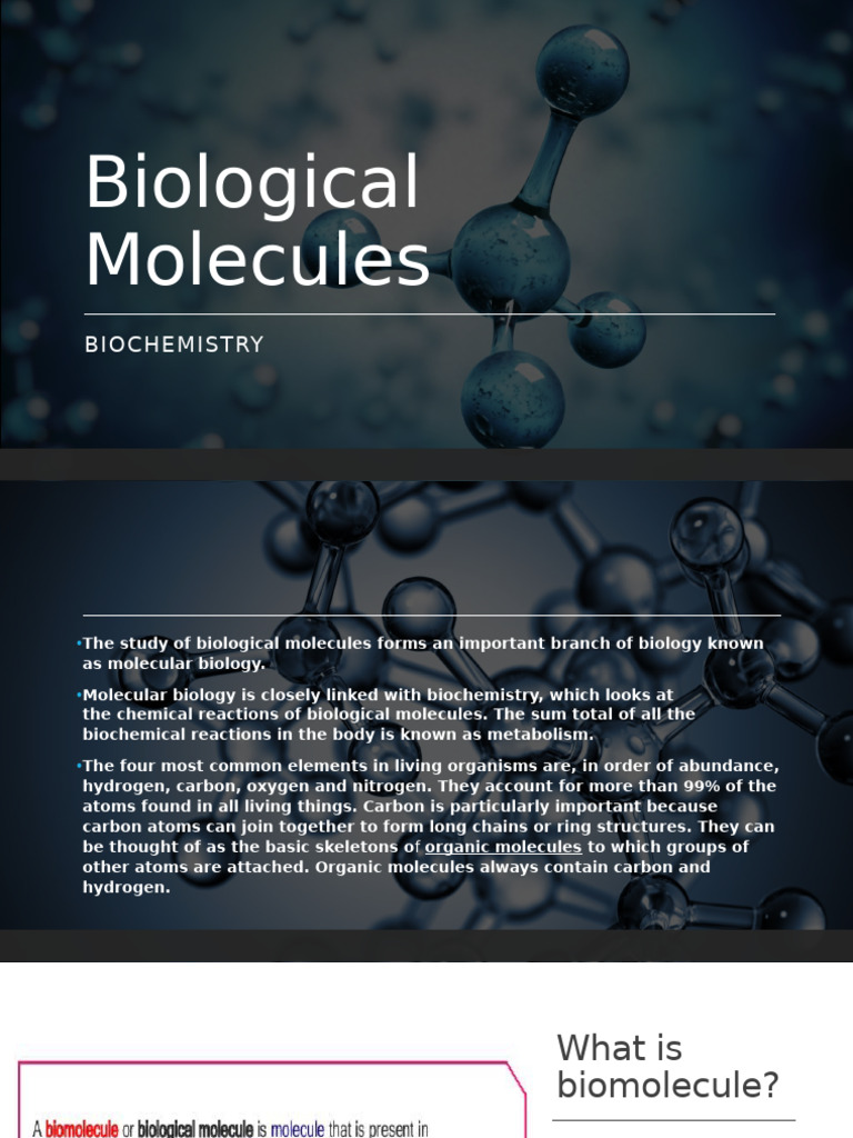 Biological Molecules | PDF