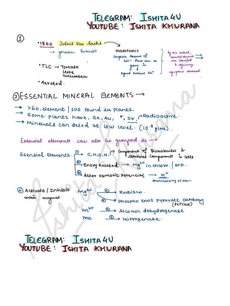 Mineral Nutrition Print Flowchart - Ishita 4 U | PDF