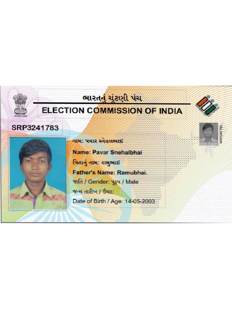 Voter Id | PDF