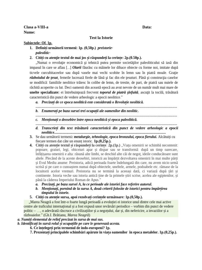 Test Istorie Preistoria Cls. VIII | PDF