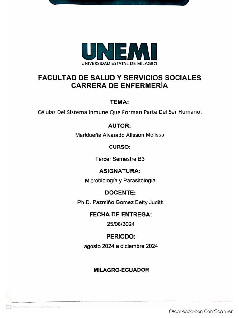 Tarea Autónoma Sem 2 Ver 2 | PDF