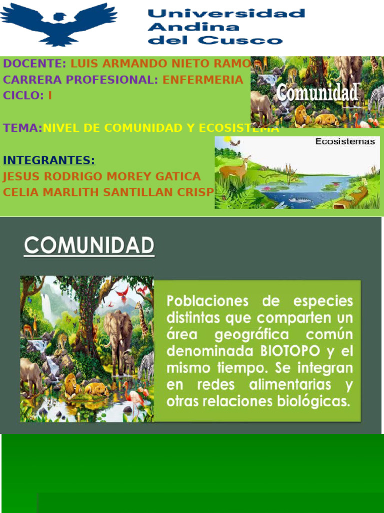 Equilibrio Del Ecosistema: Especies, Biología Y Comunidad – AYQC