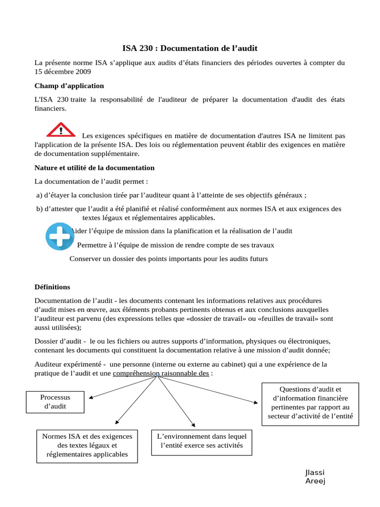 Isa 230 | PDF