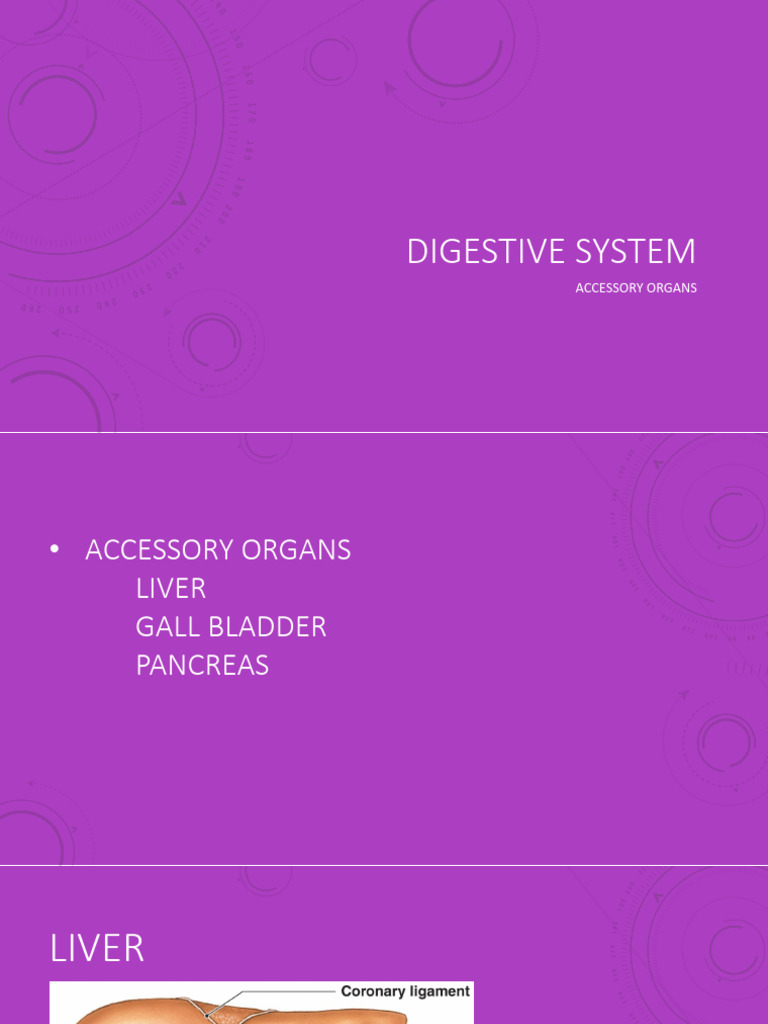 GIT Accessory Organs | PDF