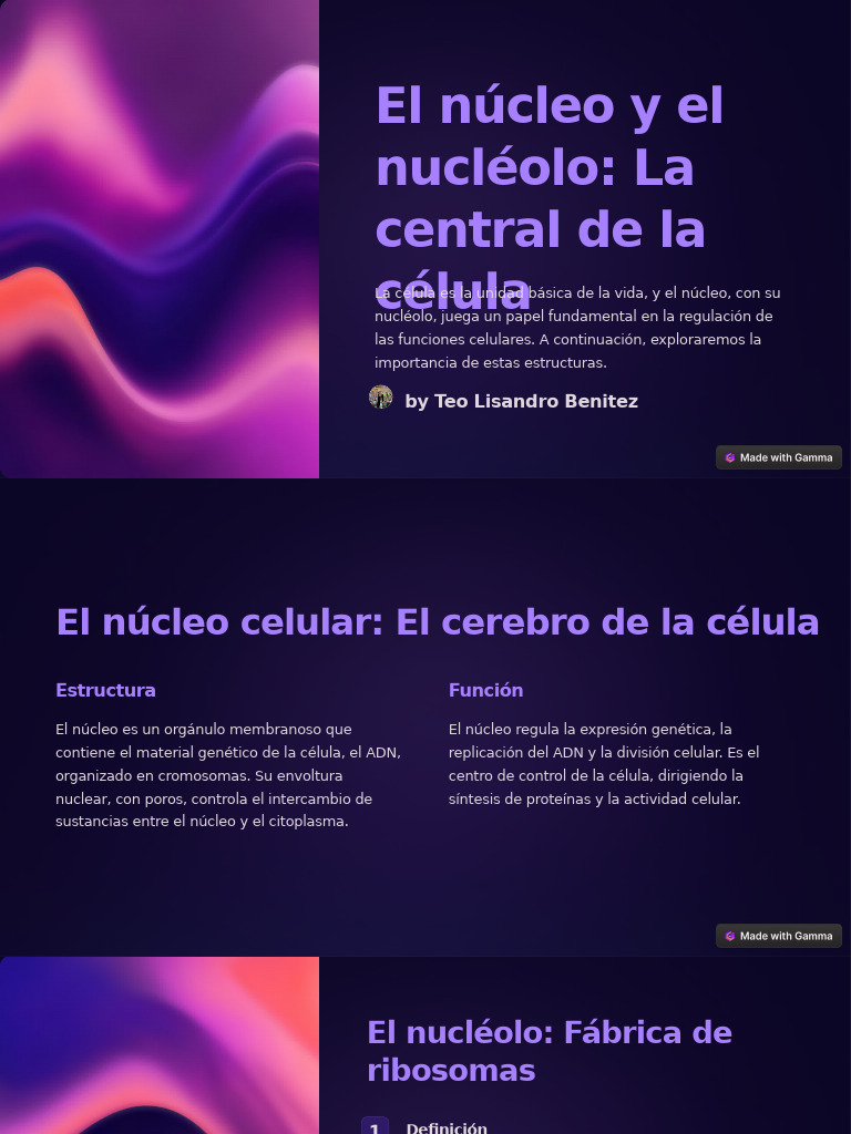 El Nucleo y El Nucleolo La Central de La Celula | PDF