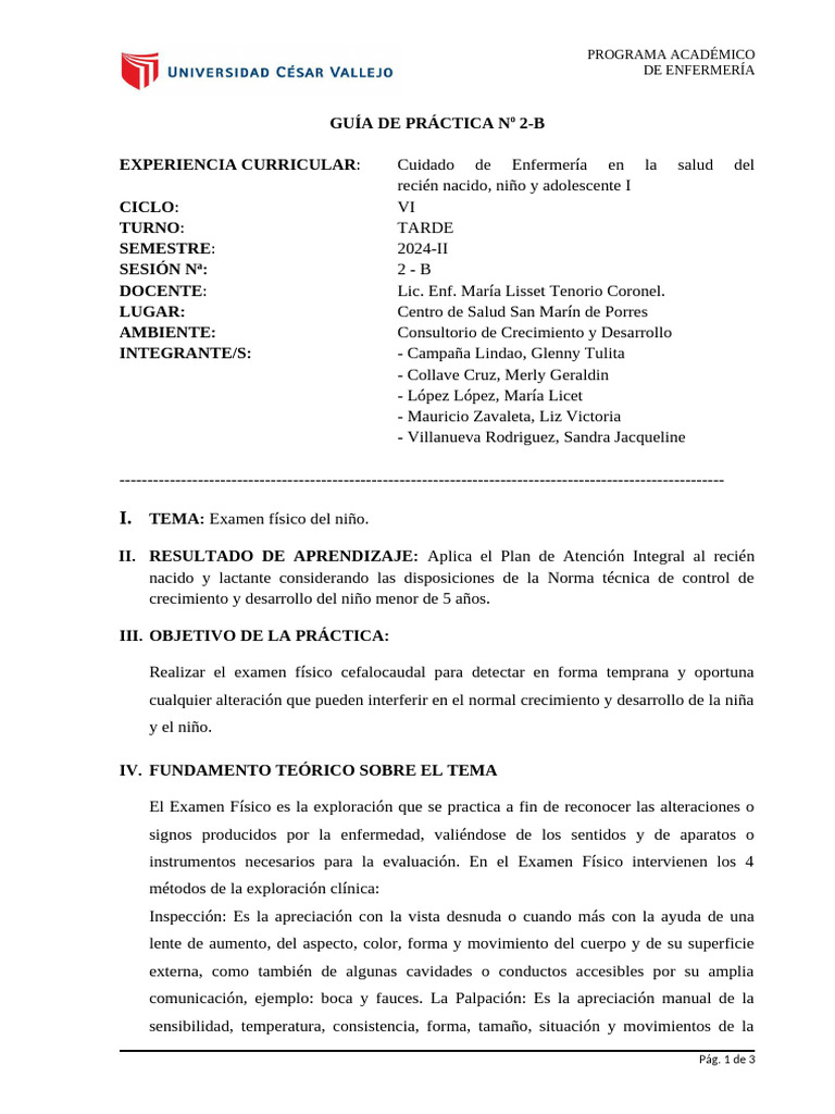 Guía de Práctica N°2B | PDF