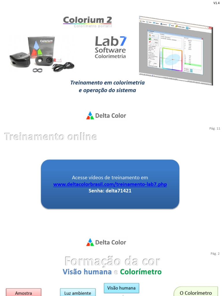Treinamento Lab7 | PDF