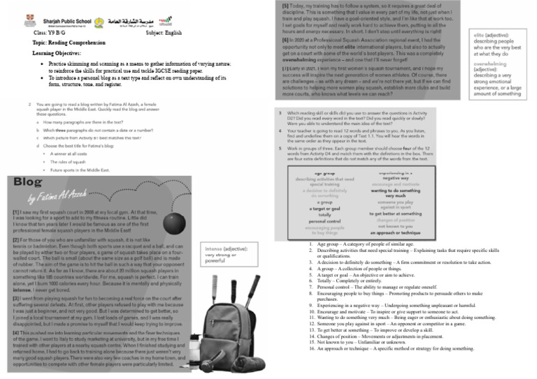 Year 9-ESL - Blog-Reading Comprehension-IGCSE | PDF