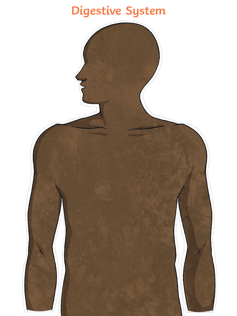 Human Body - Cut Out | PDF