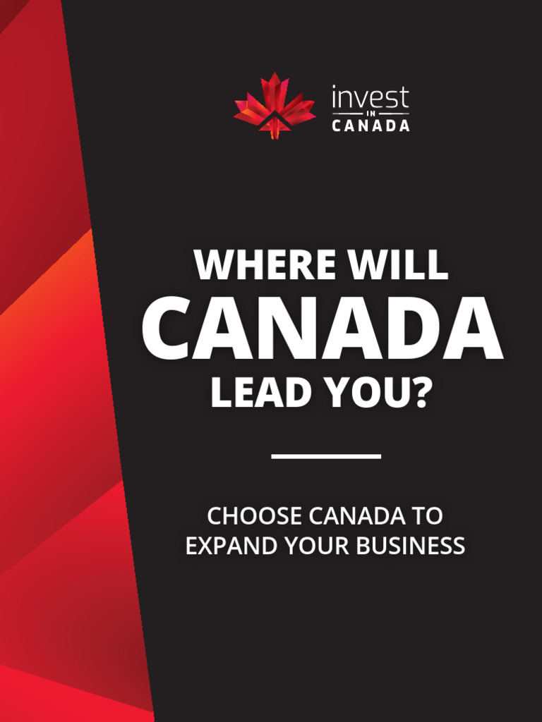 IIC Pitchbook 2024 - EN | PDF