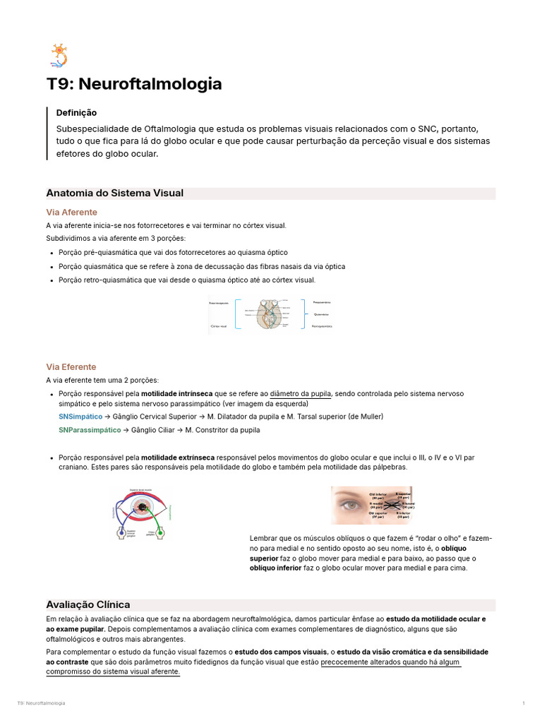 T9 Neuroftalmologia | PDF